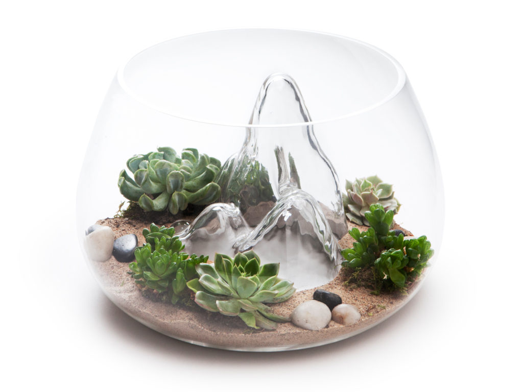 7 Mesmerizing Terrariums To Decorate The Living Room