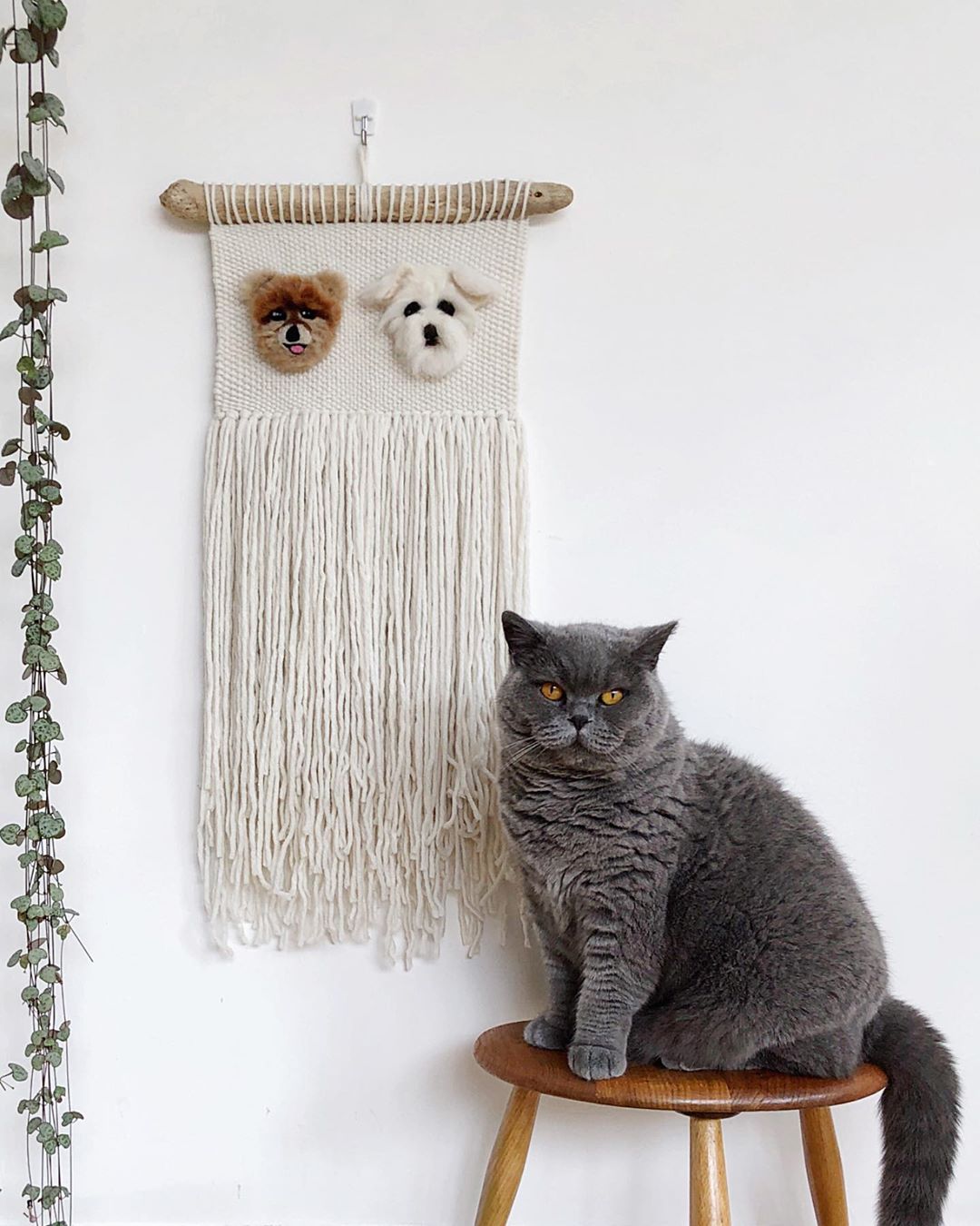 17 Absolutely Adorable Pet-Inspired Decor Items to Bring Some Joy & Fun ...